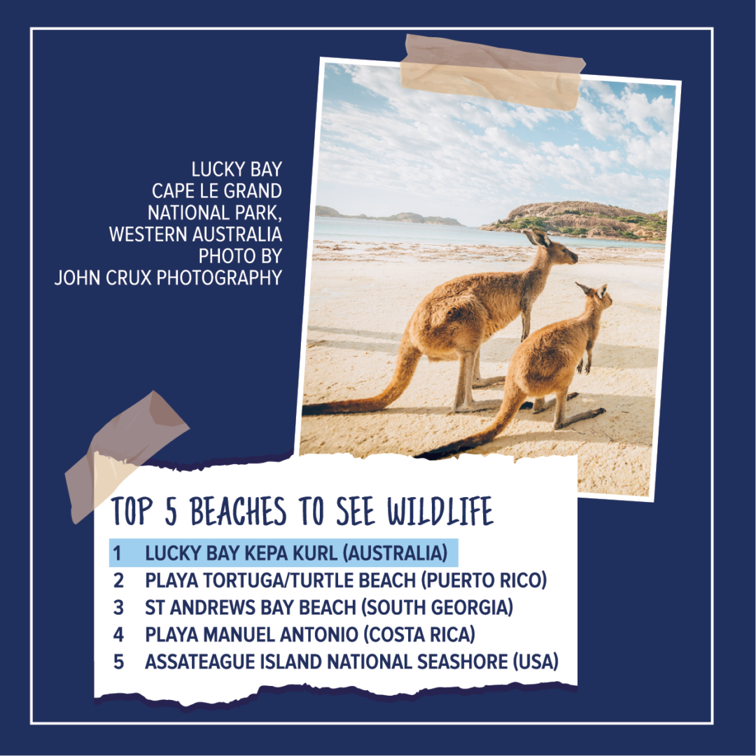 Love a Getaway - Life's a Beach - Australian Life Magazine